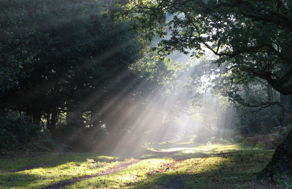 Daily Devotional - Light and Shadow - Highland Park Baptist Church ...