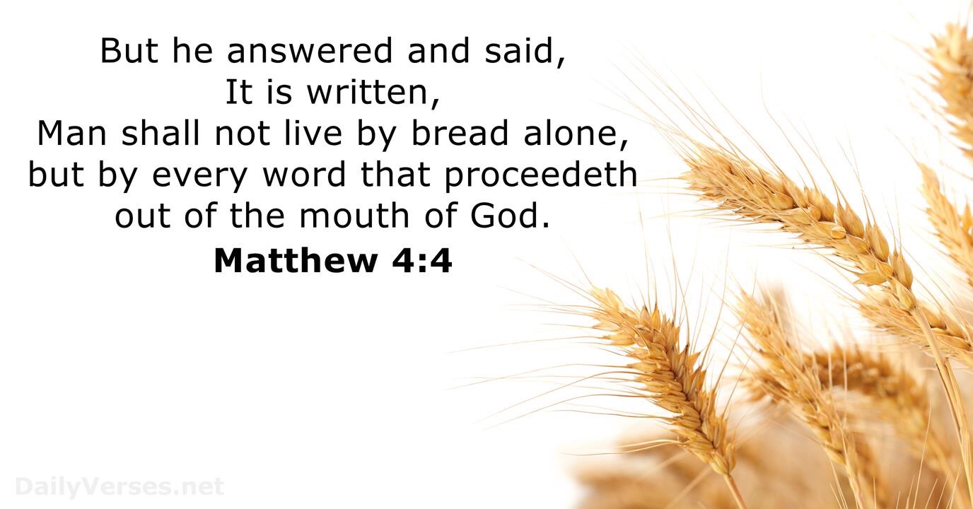 Verse Of The Day Matthew 4 4 KJV Highland Park Baptist Church Lenoir City Tennessee Verse Of The Day Matthew 4 4 KJV Highland Park Baptist Church Lenoir City Tennessee